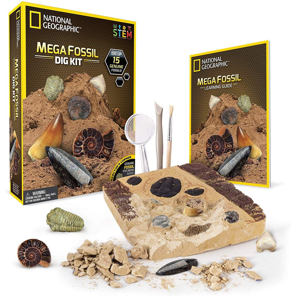 Fossil Dig Kit – OddGifts.com