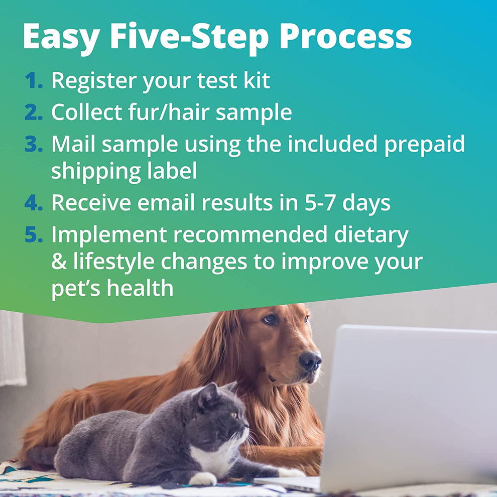 Give your pets a voice with this pet food intolerance test for cats an ...